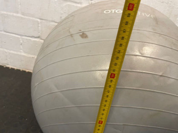 Silver Pilates Ball | 2ndhandwarehouse.com